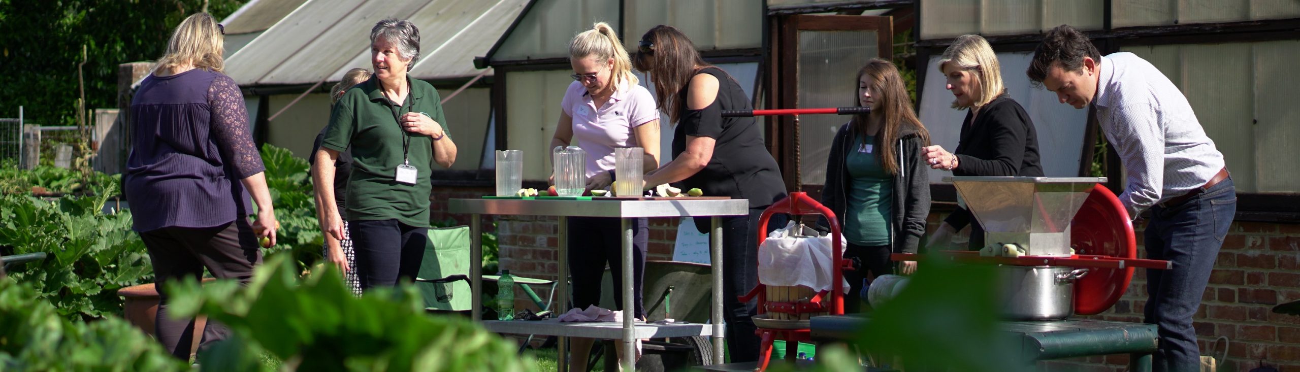 Corporate volunteering - Minstead Trust