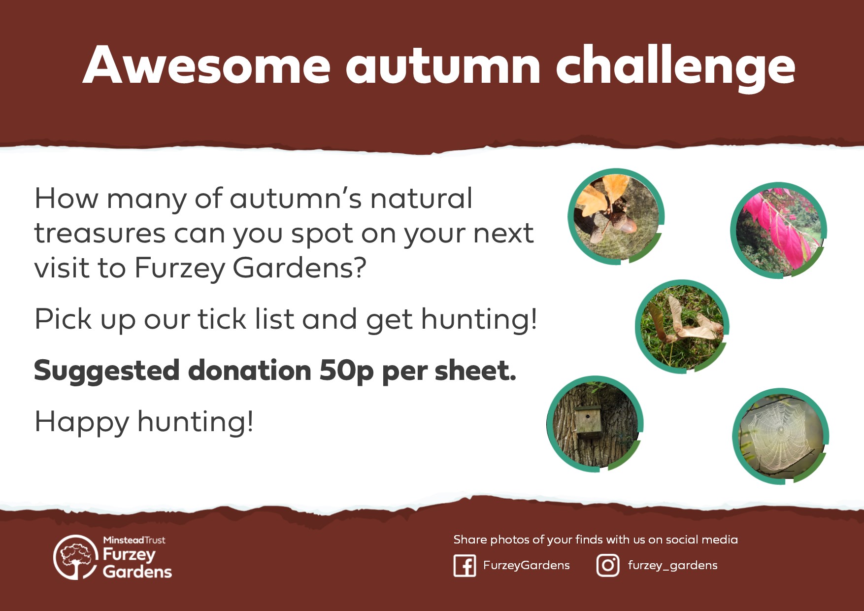 Awesome autumn challenge - Minstead Trust