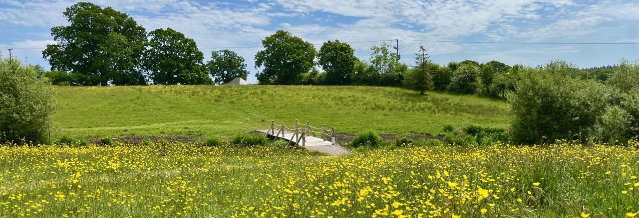Bioblitz reveals garden’s astonishing nature - Minstead Trust