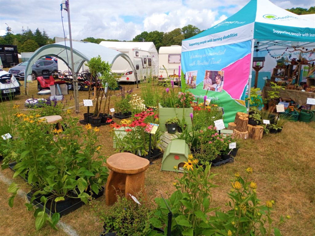 The New Forest Show makes a comeback - Minstead Trust