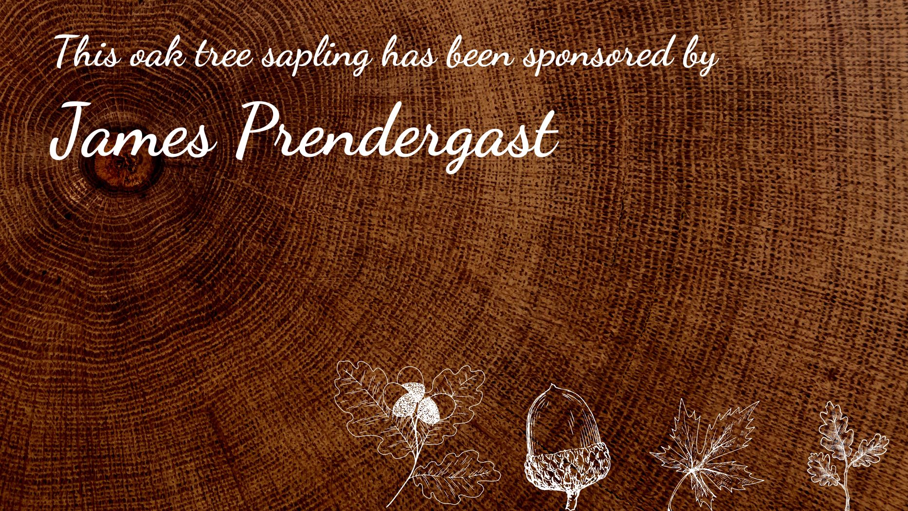 James Prendergast: For my family - Minstead Trust