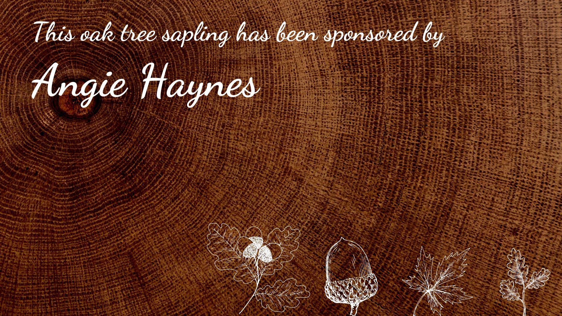 Angie Haynes: for the Haynes girls - Minstead Trust