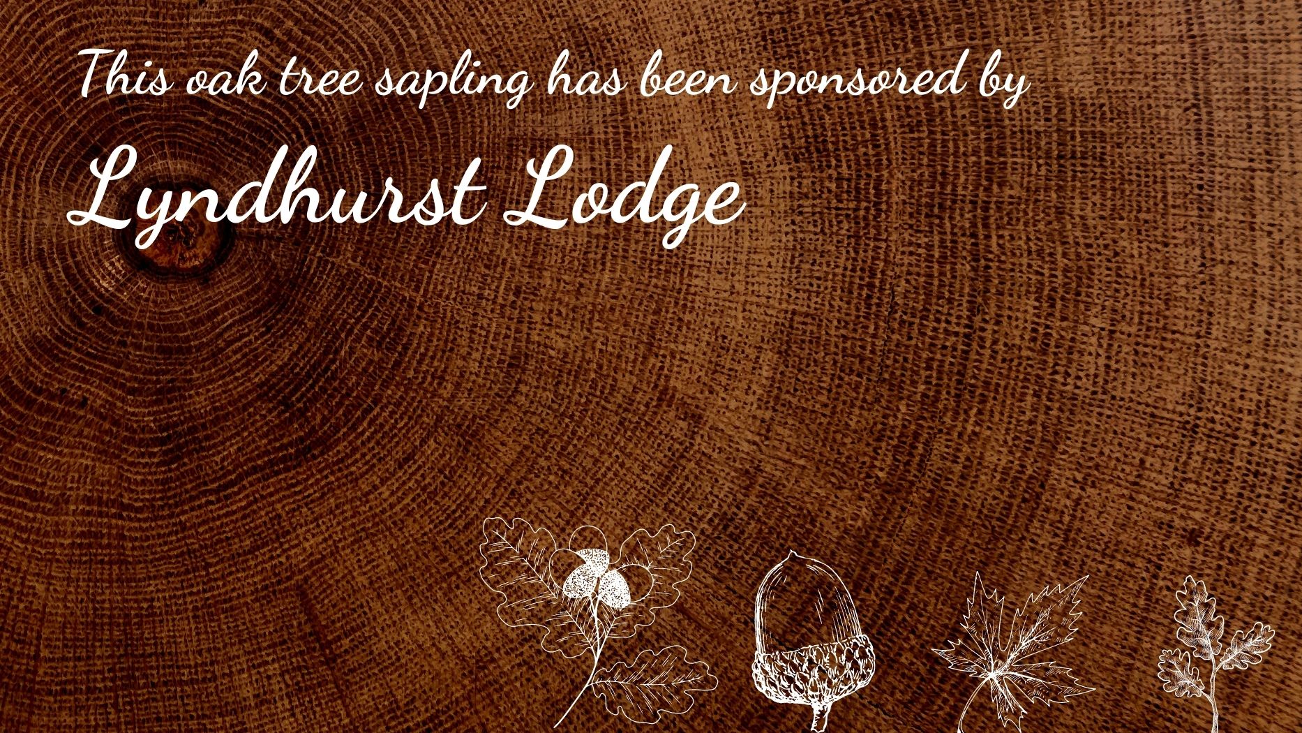 For Lyndhurst Lodge - Minstead Trust