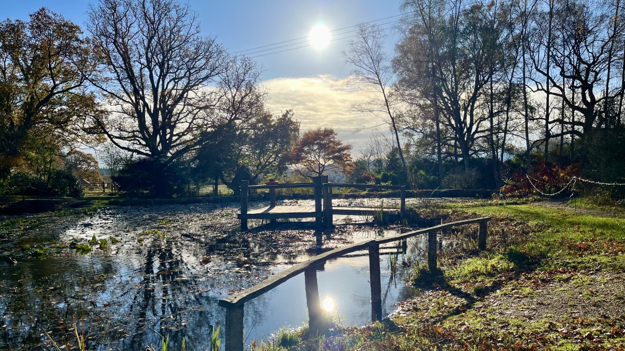 Catherine's monthly photo blog: December - Minstead Trust