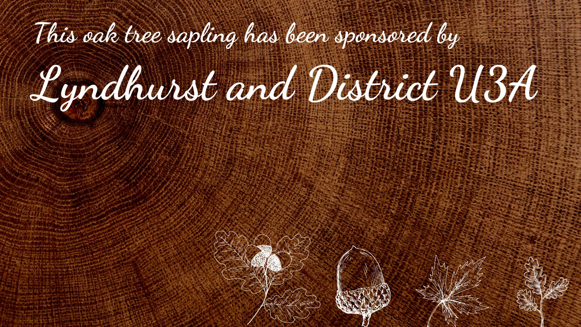 Lyndhurst and District U3A: Remembering Queen Elizabeth II - Minstead Trust