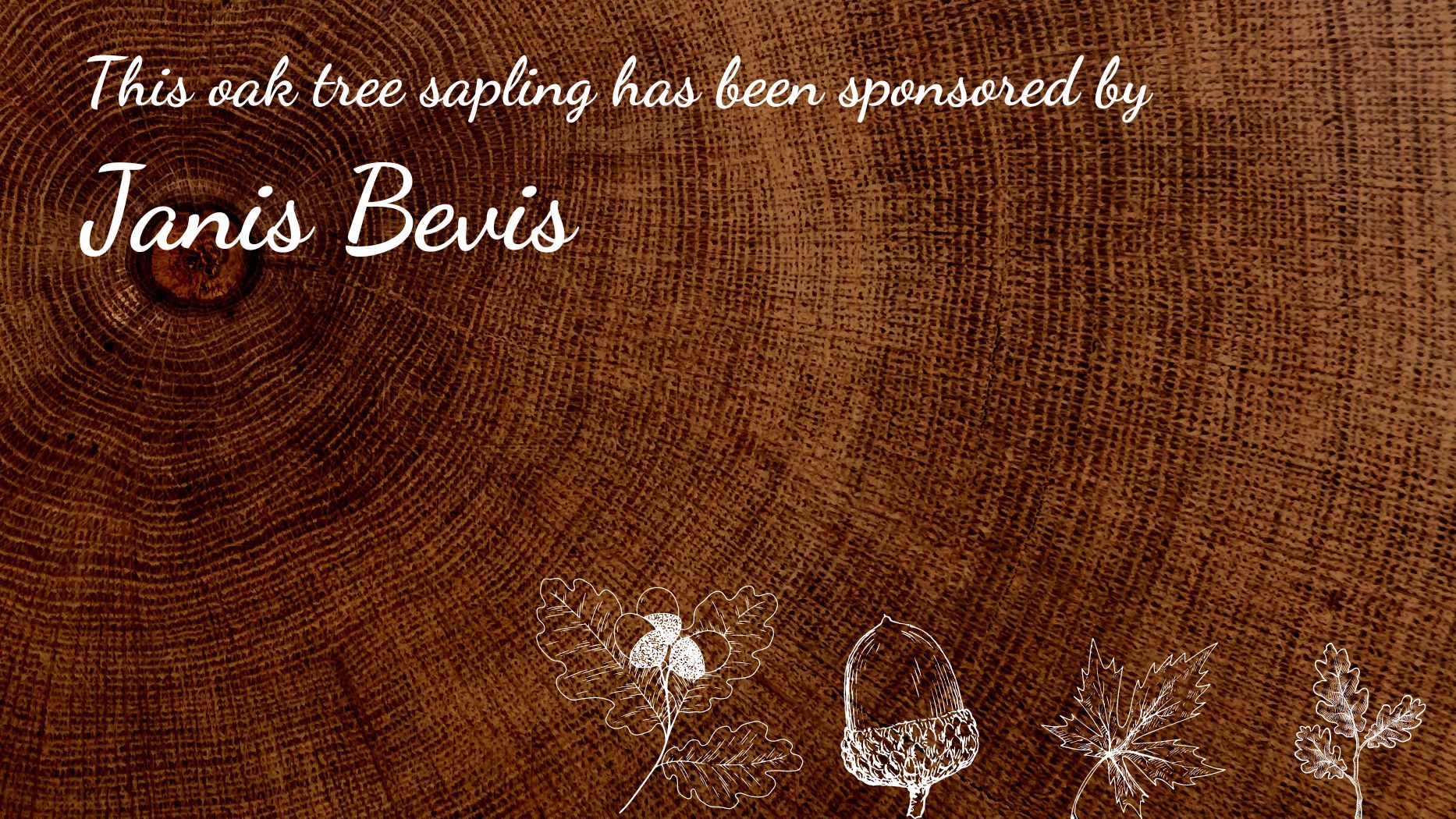 Janis Bevis: For Barry - Minstead Trust