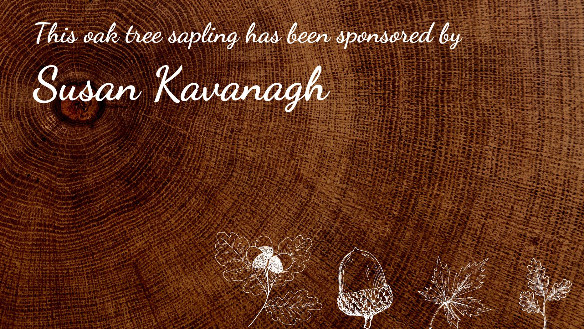 Susan Kavanagh: Remembering Anita and Marion - Minstead Trust