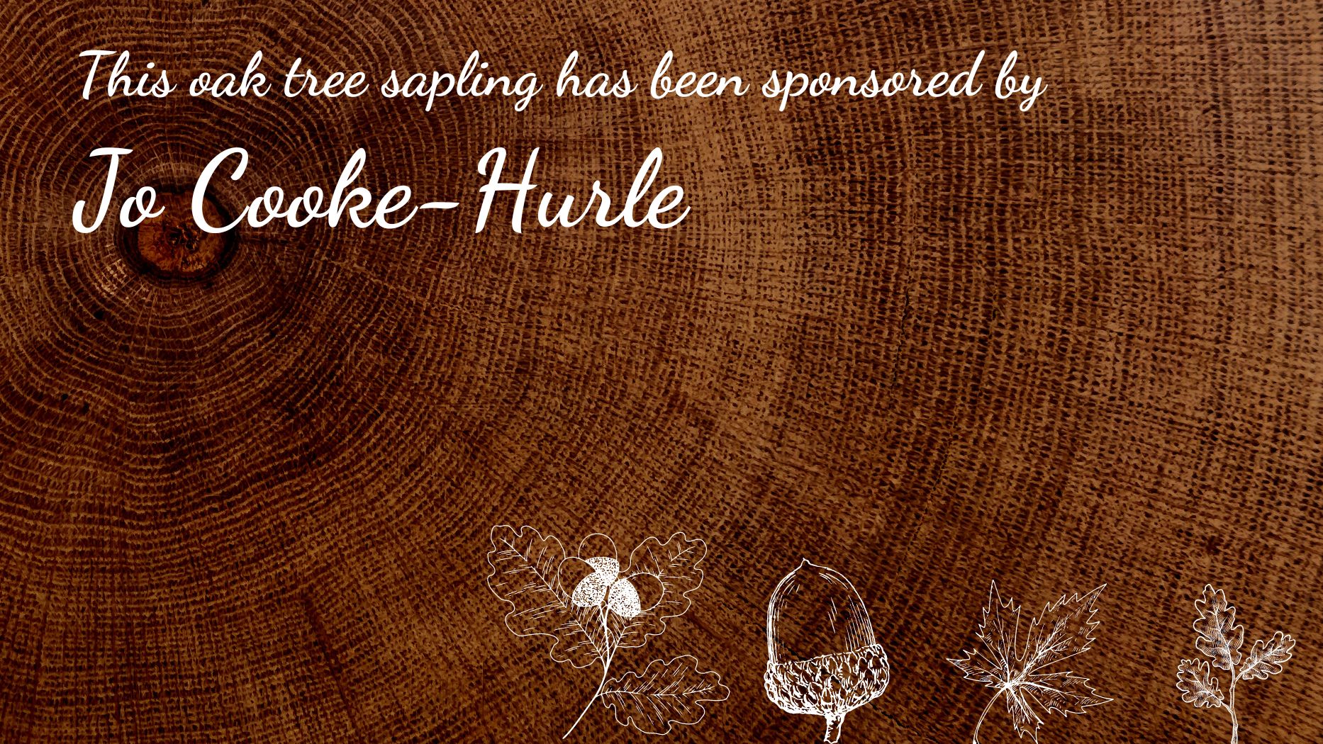 Jo Cooke-Hurle: For Thomas - Minstead Trust