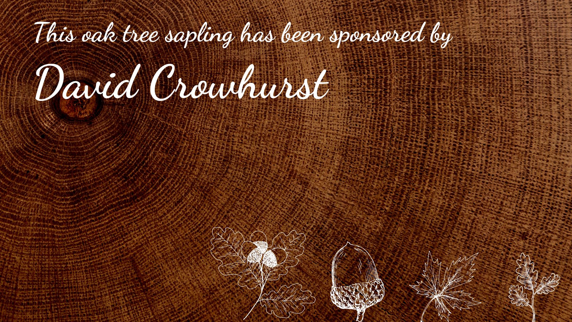 David Crowhurst: Remembering Jacqueline - Minstead Trust