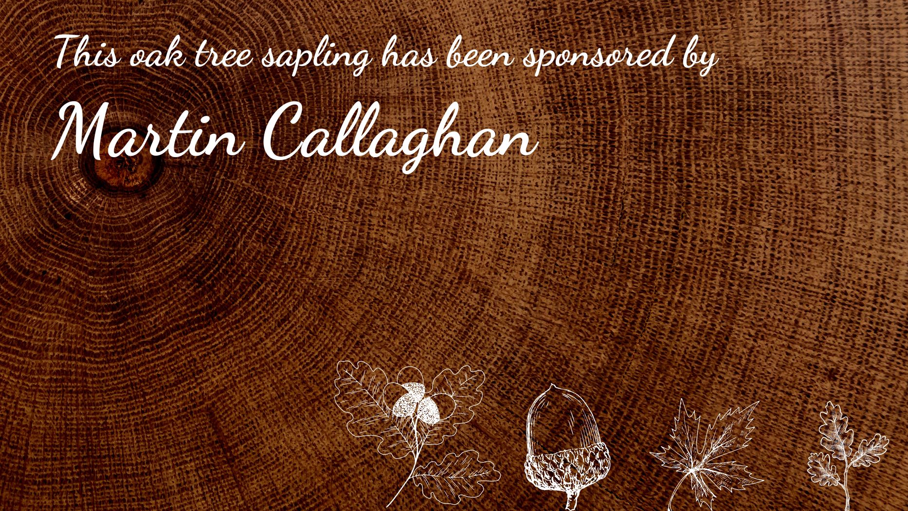 Martin Callaghan: For Kate - Minstead Trust