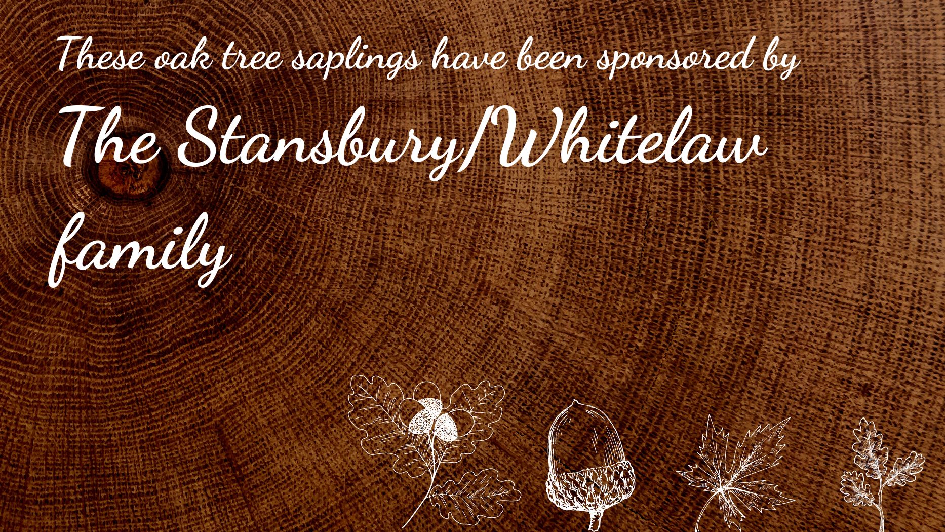 The Stansbury/Whitelaw family: Remembering Meryl and Patricia ...