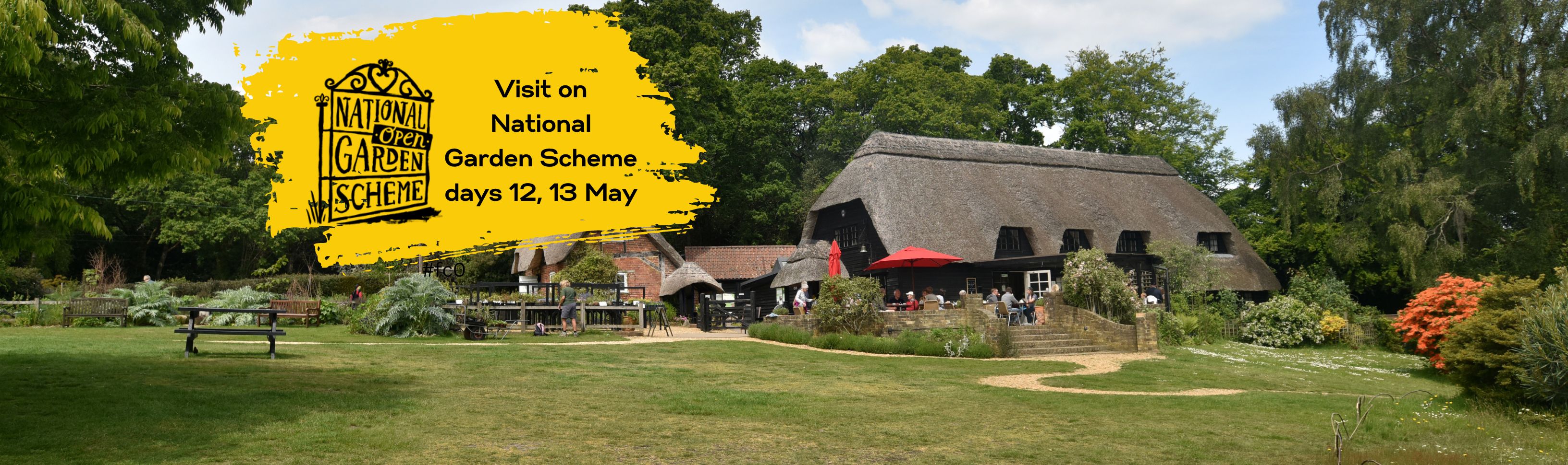 Opening through the National Garden Scheme - Minstead Trust