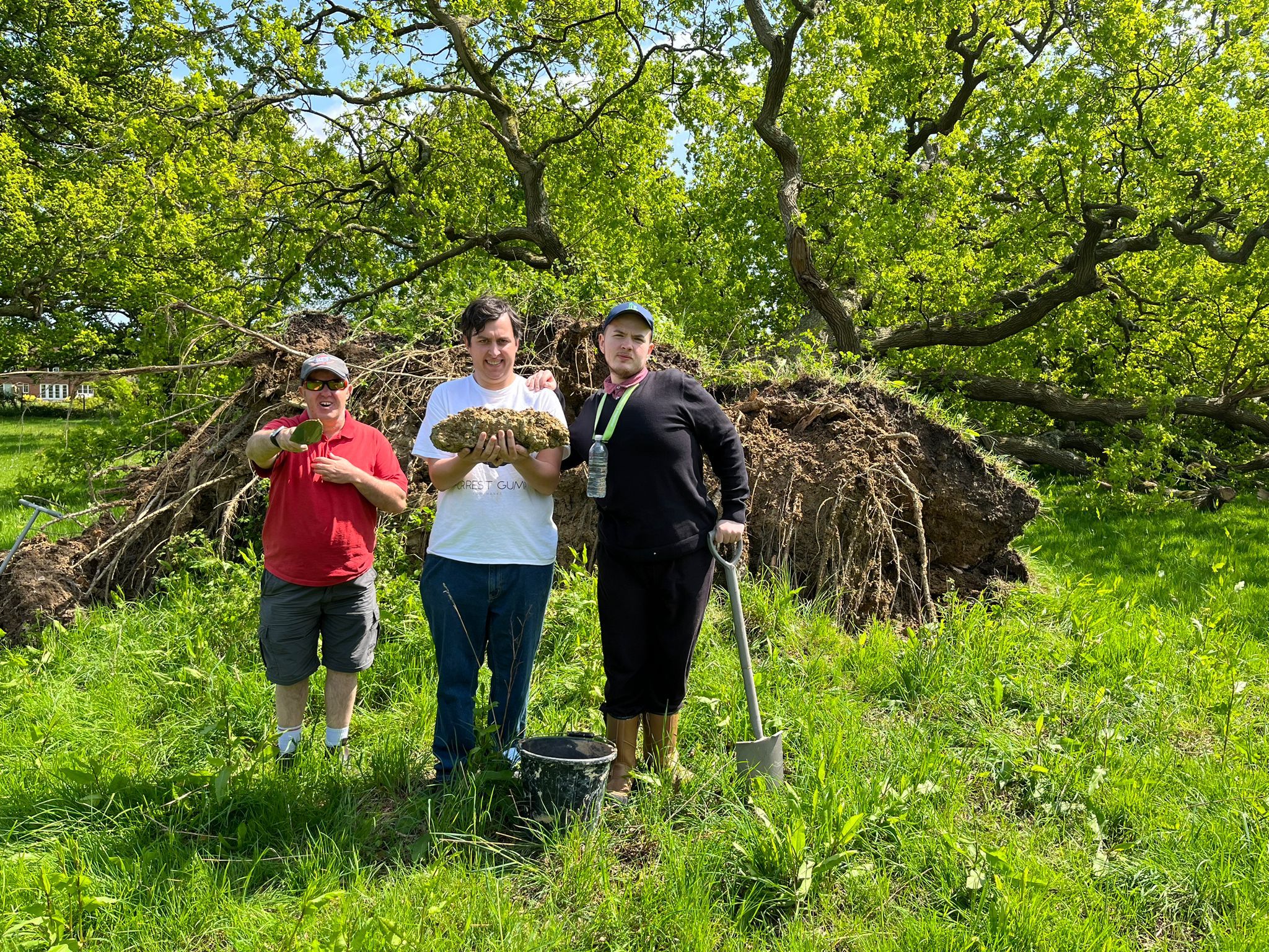 Ancient tree gives life to handmade pottery - Minstead Trust