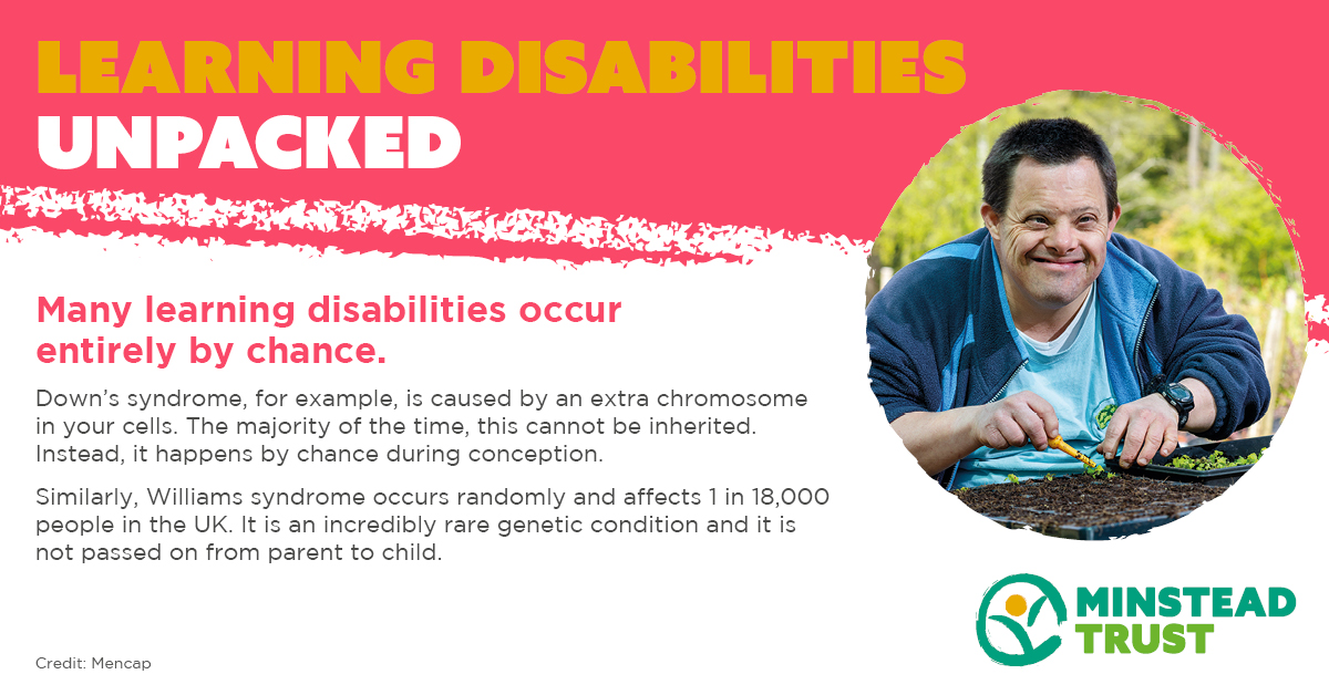 Learning Disabilities Unpacked | Breaking Barriers | Minstead Trust