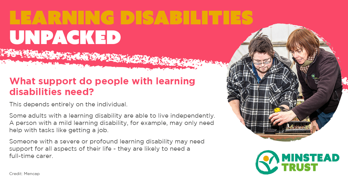 Learning Disabilities Unpacked | Breaking Barriers | Minstead Trust