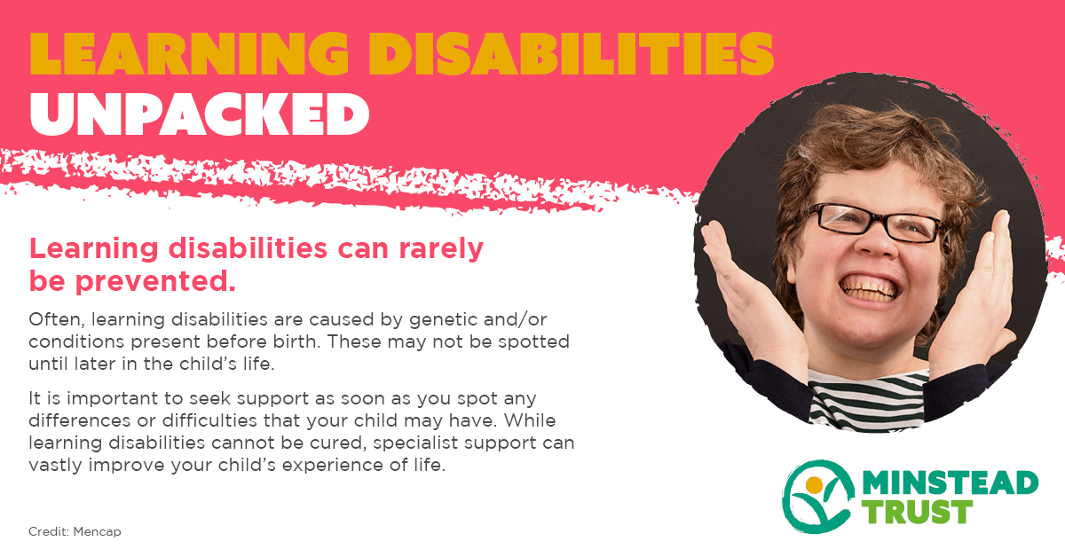 Learning Disabilities Unpacked | Breaking Barriers | Minstead Trust