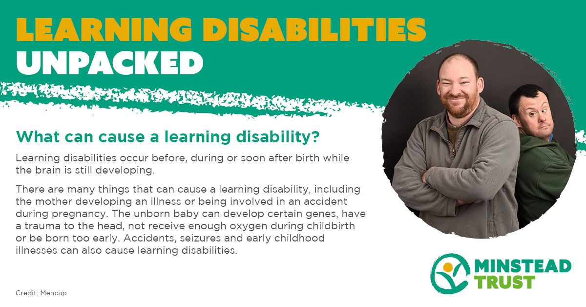 Learning Disabilities Unpacked | Breaking Barriers | Minstead Trust